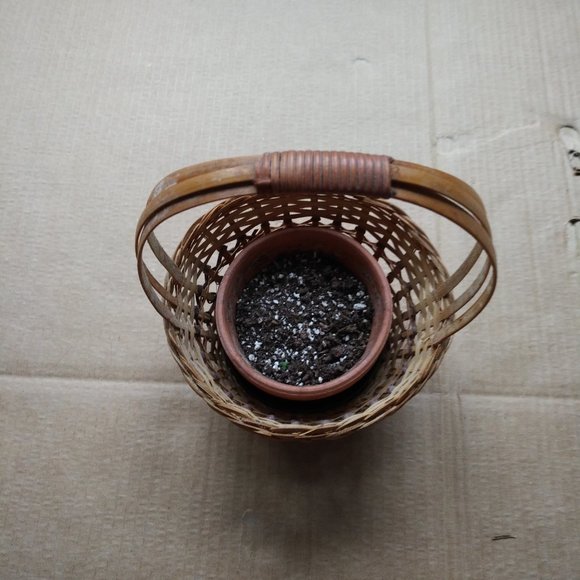 Accents | 2tone Woven Rattan Basket W Terra Cot Pot Insert | Poshmark